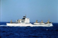 Free online jigsaw puzzles | Page 1221 | Jigidi.com