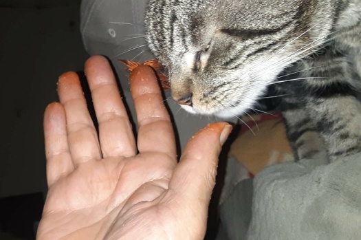 Solve Cheetos fingers YUUUUMMMM jigsaw puzzle online with 24 pieces