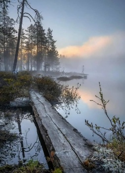 Solve Misty morning over a calm lake jigsaw puzzle online with 117 pieces