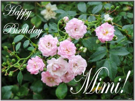 Solve Happy Birthday, Mimi! jigsaw puzzle online with 20 pieces