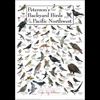 Solve Pacific Northwest Backyard Birds jigsaw puzzle online with 49 pieces