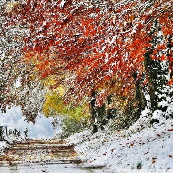 Solve Late October! jigsaw puzzle online with 81 pieces