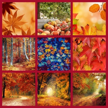 Solve autumn jigsaw puzzle online with 64 pieces