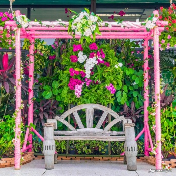 Solve Why not paint the bench . . . . . jigsaw puzzle online with 9 pieces