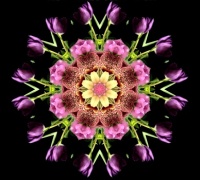 Jigsaw Puzzle Categories | Page 58 | Jigidi.com