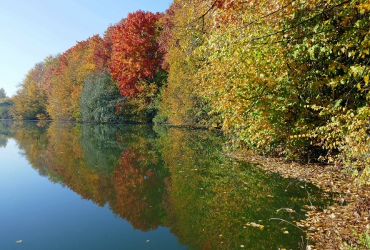 Solve Ruduo jigsaw puzzle online with 117 pieces