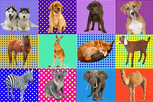 Solve Real animals jigsaw puzzle online with 216 pieces