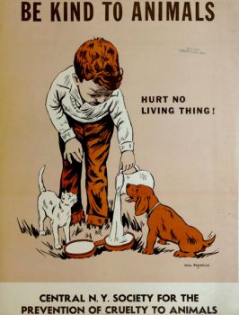 Solve be-kind-to-animals-posters-great-depression-morgan-dennis11 ...