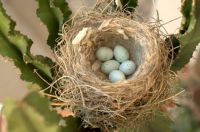 Ai puzzles | Page 7380 | Jigidi.com