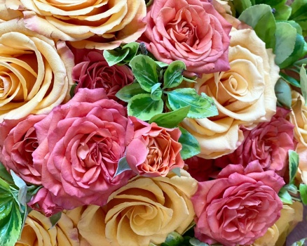 Solve roses jigsaw puzzle online with 594 pieces