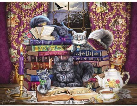 Solve Cats and Books jigsaw puzzle online with 192 pieces