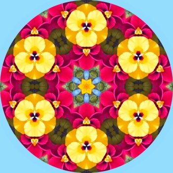 Solve Kaleidoscope of Flowers jigsaw puzzle online with 100 pieces