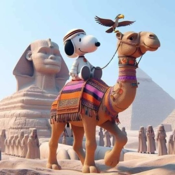 Solve Snoopy Camel jigsaw puzzle online with 49 pieces