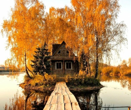 Solve There is Autumn Color Everywhere if You Look for it.... jigsaw ...