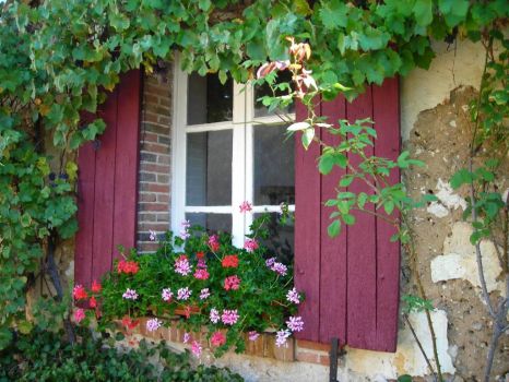 Solve Shutters: "Man who live in glass house should close shutters ...