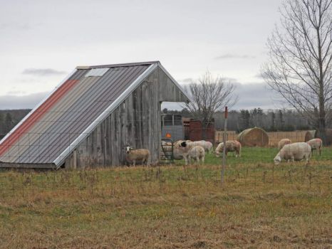 Solve Sheep shed jigsaw puzzle online with 20 pieces