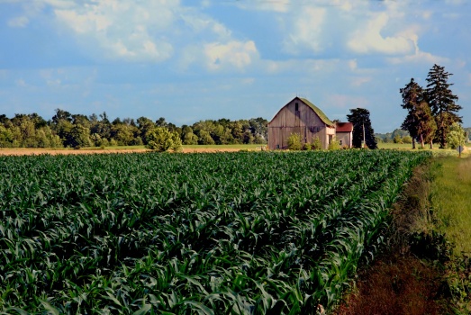 Solve Rural Indiana jigsaw puzzle online with 96 pieces