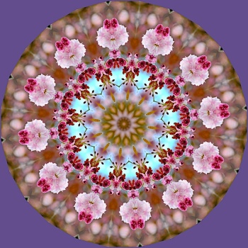 Solve #1 very small jigsaw puzzle online with 25 pieces