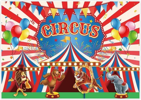Solve Circus jigsaw puzzle online with 234 pieces