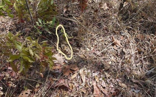 Solve Answer to yesterday's "find-em" puzzle with the well hidden ...