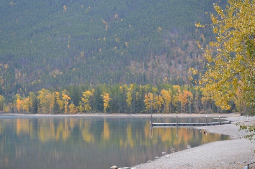 Jigsaw Puzzle | 117 pieces | Fall reflections | Jigidi