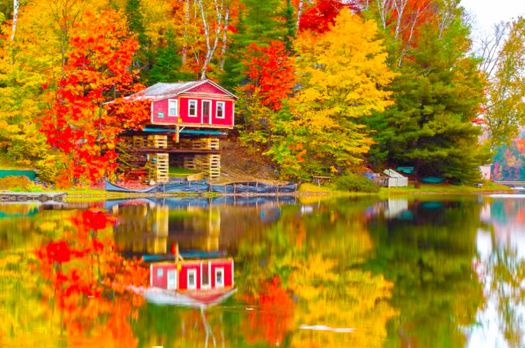 Jigsaw Puzzle | Beautiful Fall colors | 150 pieces | Jigidi