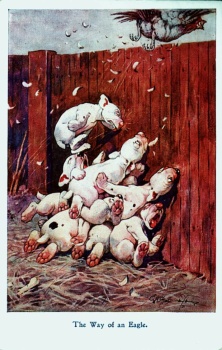 Solve The Way of an Eagle, 1922, by George Ernest Studdy (English, 1878 ...