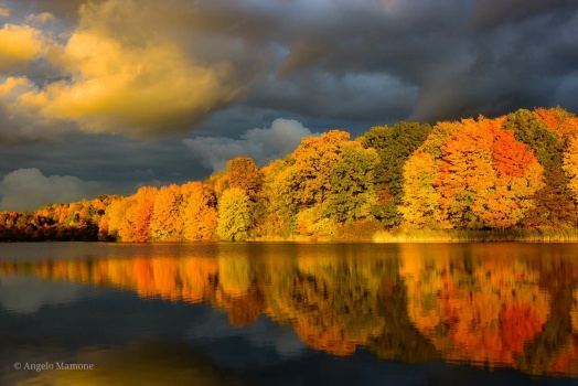 Solve Acme Lake in Western Pennsylvania jigsaw puzzle online with 96 pieces