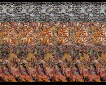 Solve Magic eye 4 jigsaw puzzle online with 120 pieces