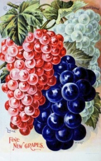 Vintage advertisement puzzles | Jigidi.com