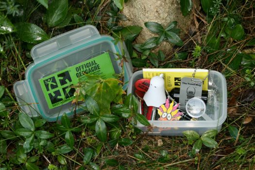 Jigsaw Puzzle | 247 pieces | Geocaching - Solve this puzzle and log a ...