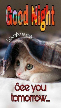 Solve Good Night - See you tomorrow jigsaw puzzle online with 60 pieces