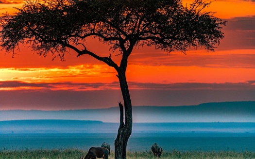 Solve COLOR MY WORLD jigsaw puzzle online with 600 pieces