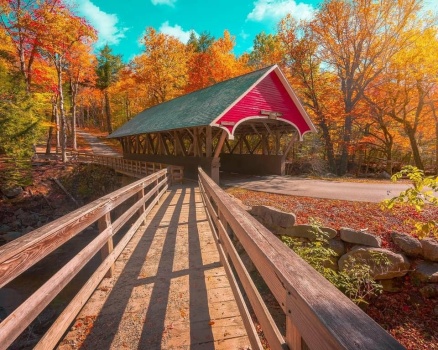 Solve Bridge jigsaw puzzle online with 80 pieces