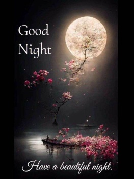 Solve Good Night - Have a beautiful night. jigsaw puzzle online with 70 ...