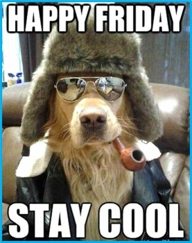 Solve Happy Friday! As Long As You're Here, How About a BOOP? jigsaw ...