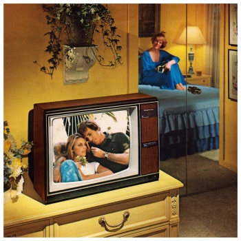 Solve Magnavox Model #4369 Portable Remote Control TV, 1975 jigsaw ...