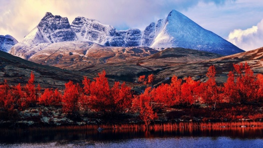 Solve COLOR MY WORLD jigsaw puzzle online with 589 pieces