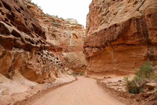 Solve CAPITOL REEF NATIONAL PARK jigsaw puzzle online with 77 pieces