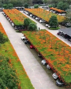 Solve Japonsko Zelene parkovanie - Green parking in Japan jigsaw puzzle ...