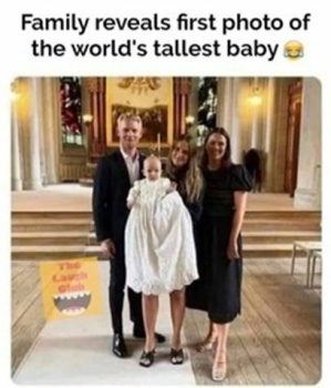 Solve Tall baby jigsaw puzzle online with 42 pieces