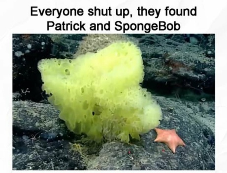 Solve Patrick And SpongeBob jigsaw puzzle online with 12 pieces