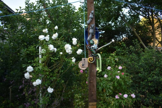 Solve Roses💐, squirels🐿️, a lizard🦎 and Marni's collar🐶 on the washing ...