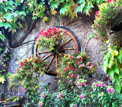 Solve The Wagon Wheel jigsaw puzzle online with 30 pieces