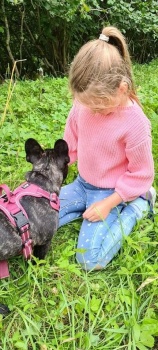 Solve Barn og hund ️🐕 jigsaw puzzle online with 105 pieces