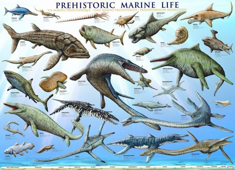 Solve Prehistoric Marine Life Poster jigsaw puzzle online with 266 pieces