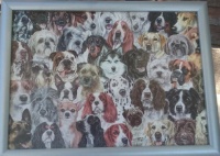 Animal puzzles | Jigidi.com