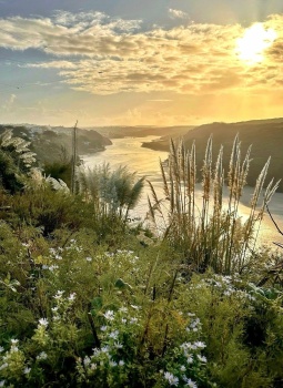 Solve The Gannel Estuary jigsaw puzzle online with 117 pieces