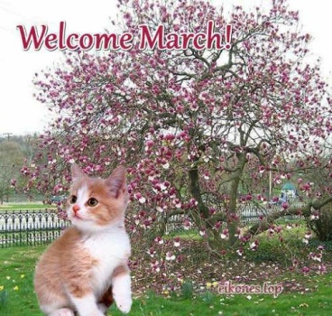 Solve Welcome March Kitty from Itty Bitty Kitty NYC FB jigsaw puzzle ...