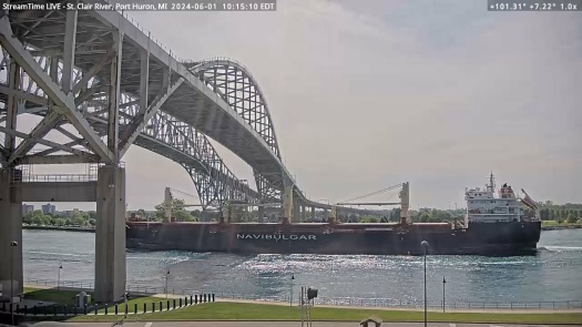 Solve Vezhen, Port Huron 6-1-24 jigsaw puzzle online with 66 pieces